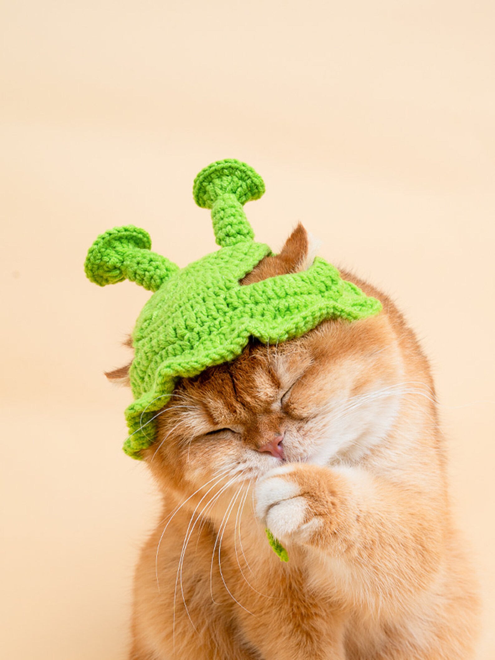 Shrek Inspired Hand Knitted Cat Cap Adorable Pet Funny Hat - Etsy