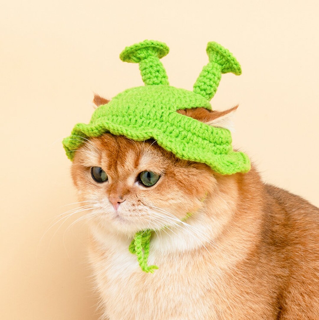 Shrek Inspired Hand Knitted Cat Cap Adorable Pet Funny Hat - Etsy