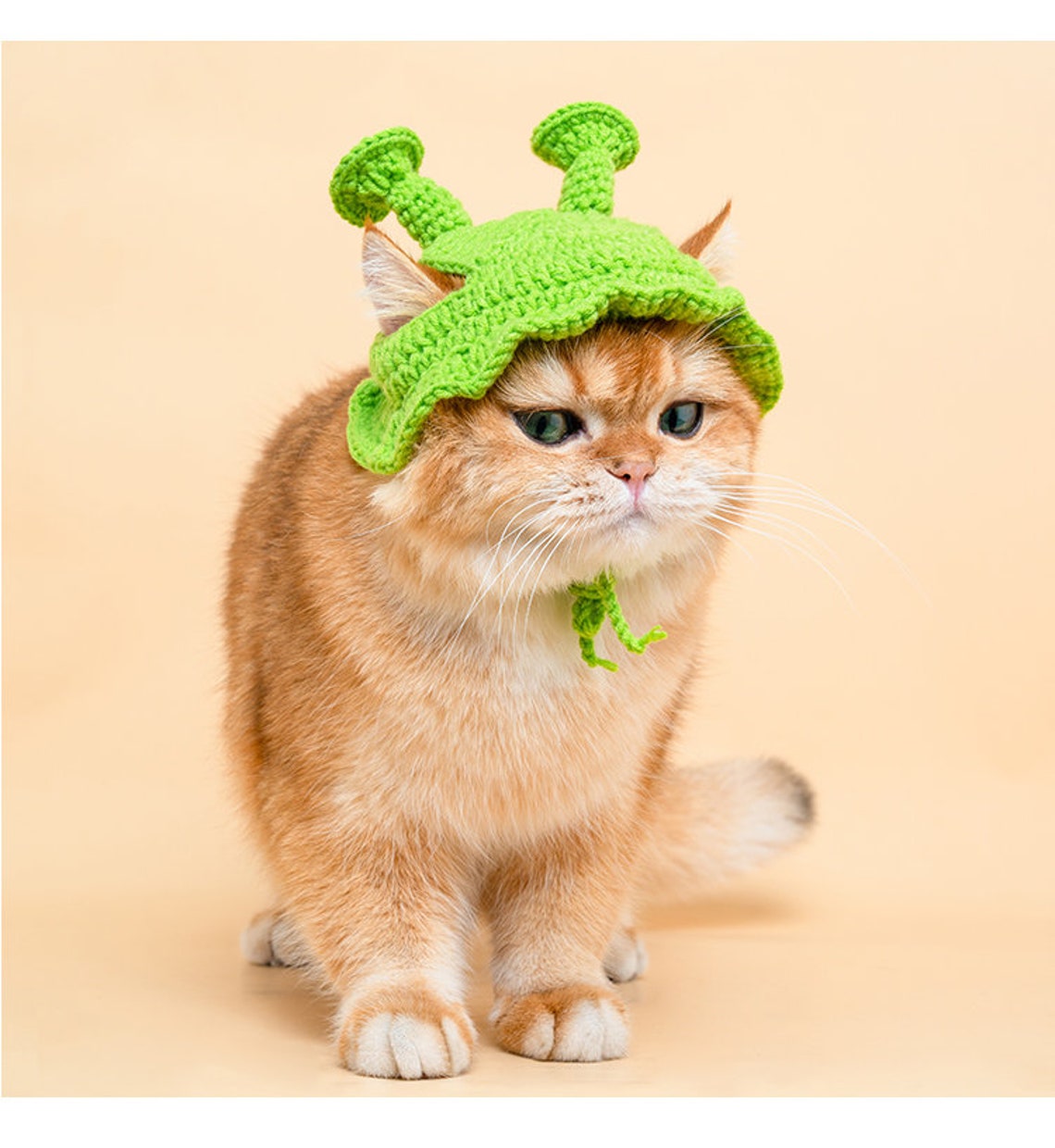 Shrek Inspired Hand Knitted Cat Cap Adorable Pet Funny Hat - Etsy