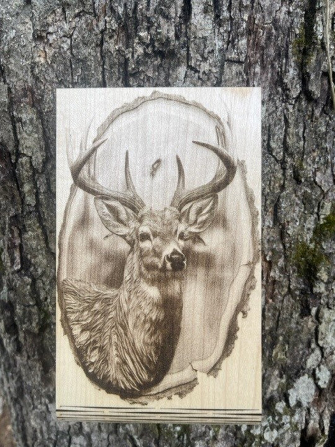 Laser Engraved Deer With Integrated Frame - Etsy