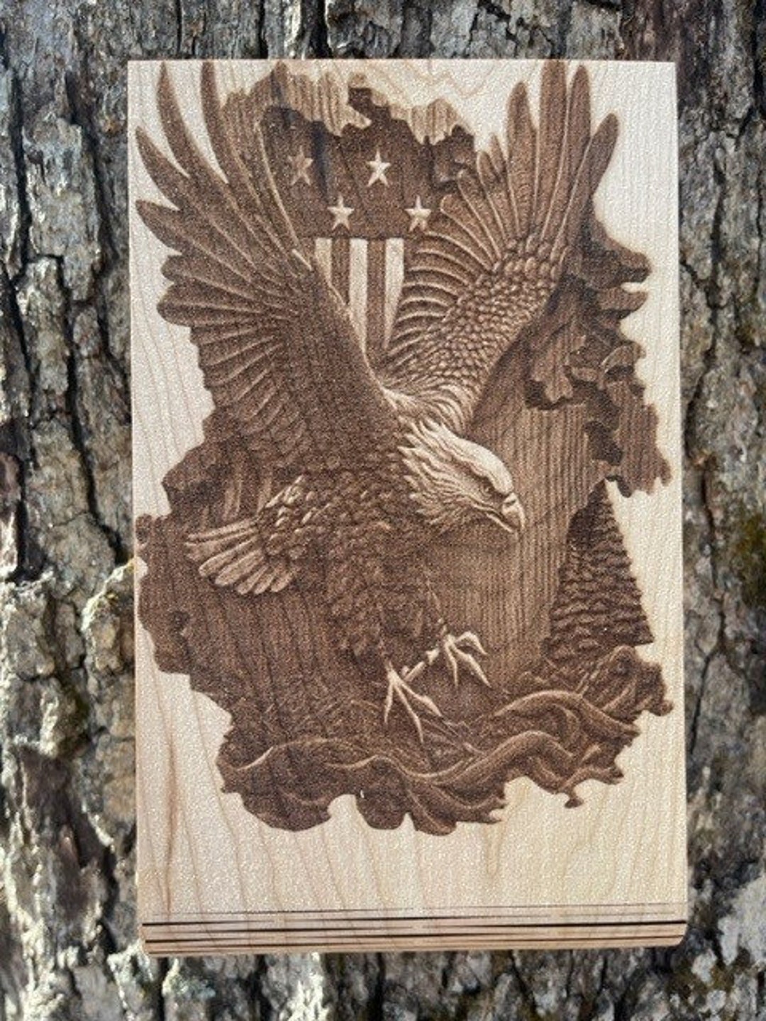 Eagle Picture Frame - Etsy