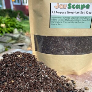 Terrarium Kit - Etsy