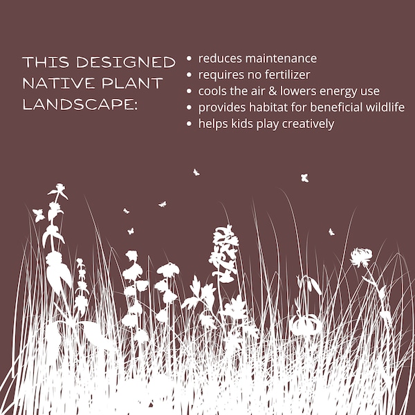 Pollinator Education - Etsy