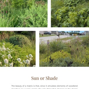 A Brief Guide to Matrix Garden Design - Etsy