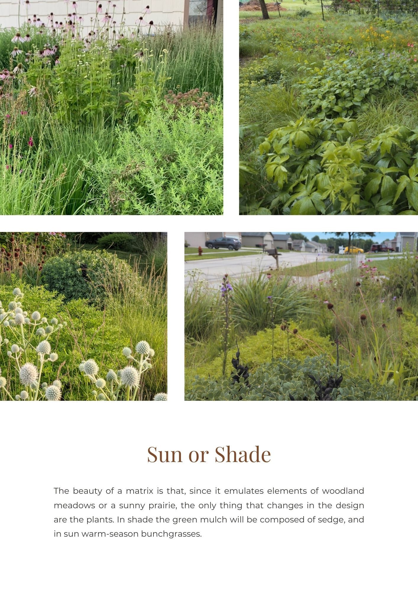 A Brief Guide to Matrix Garden Design - Etsy