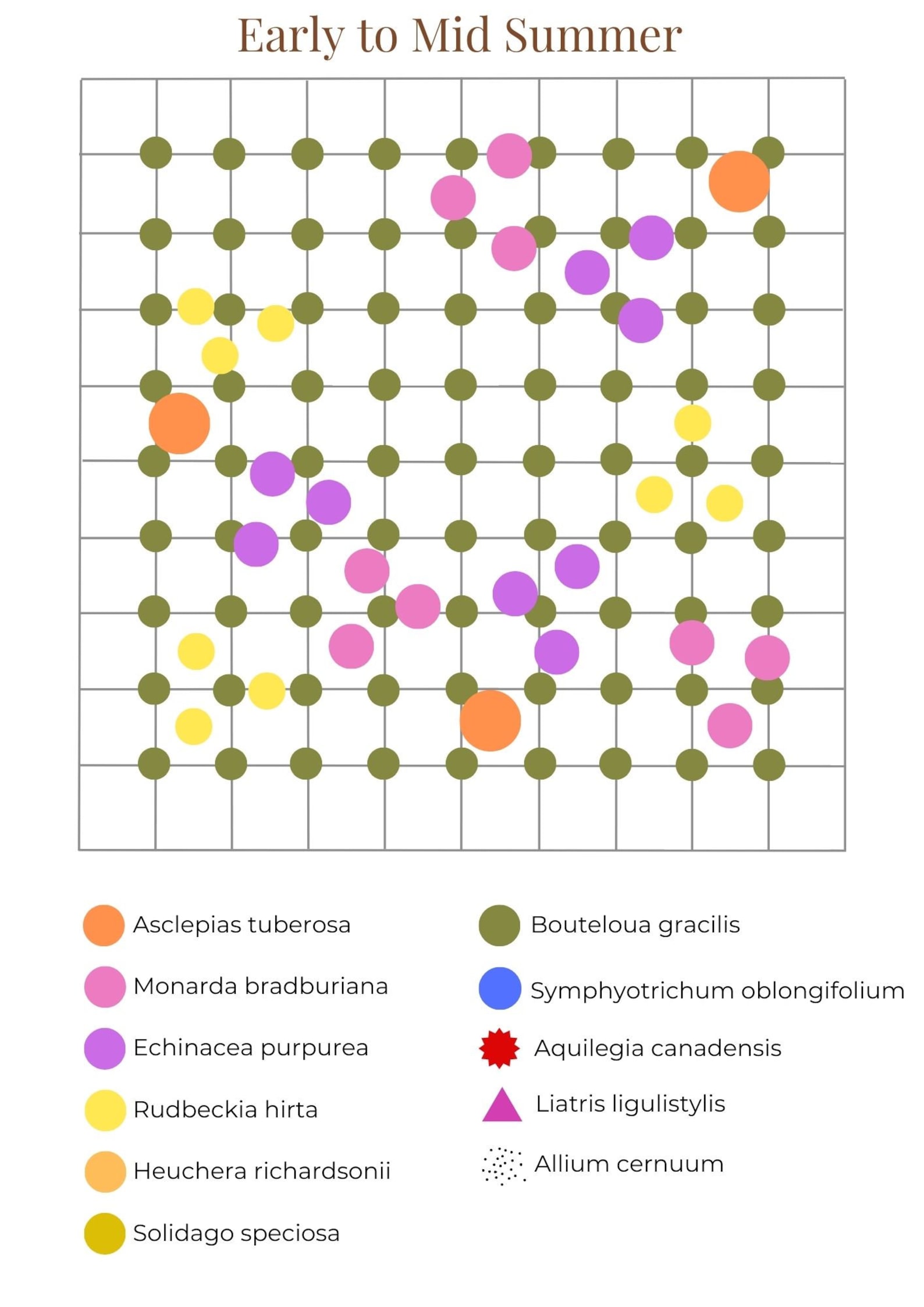 A Brief Guide to Matrix Garden Design - Etsy