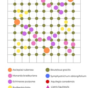 A Brief Guide to Matrix Garden Design - Etsy