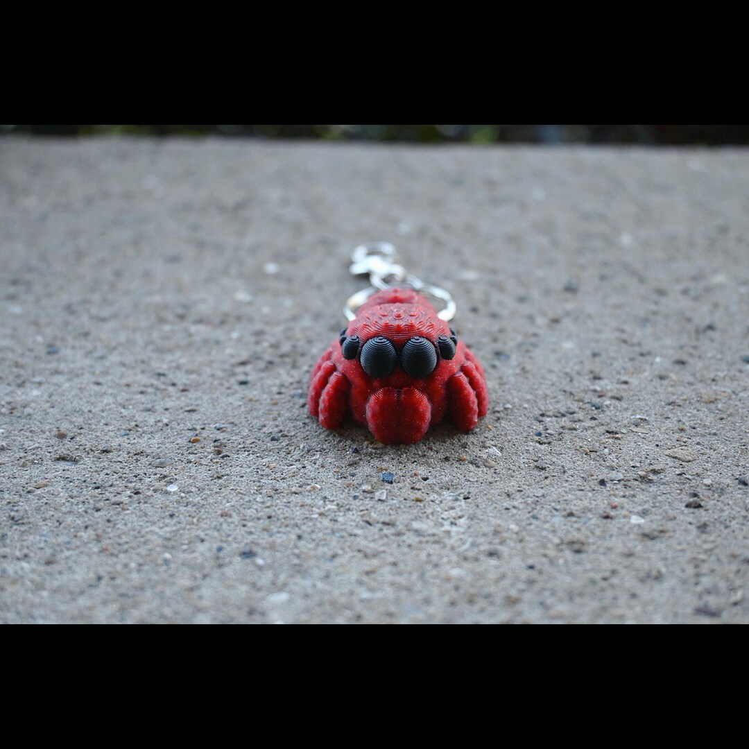 Spider Keychain - Etsy