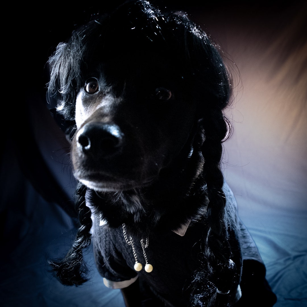 Wednesday Onesie - Etsy