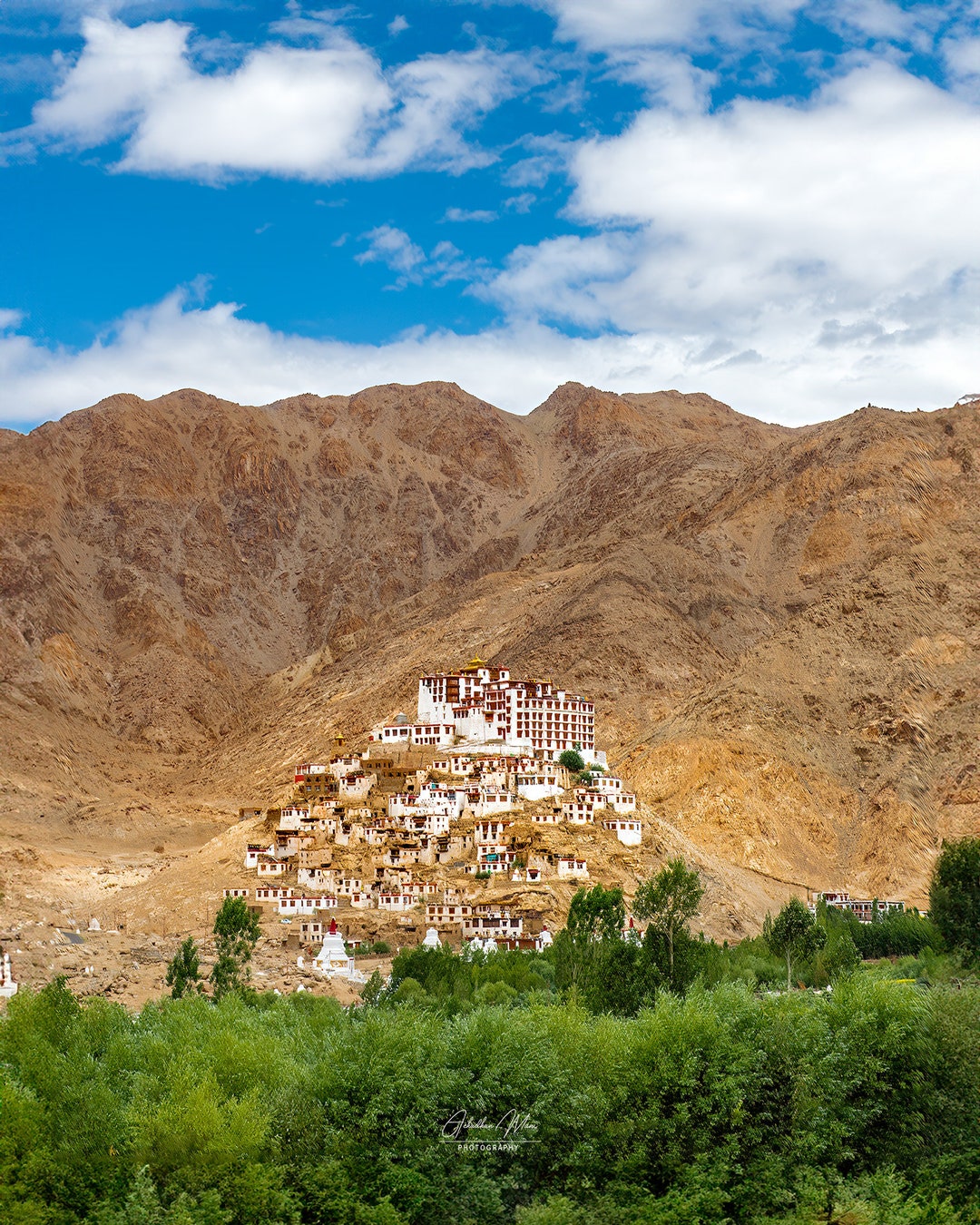 Chemrey Gompa chemrey Monastery of Ladakh Valley - Etsy