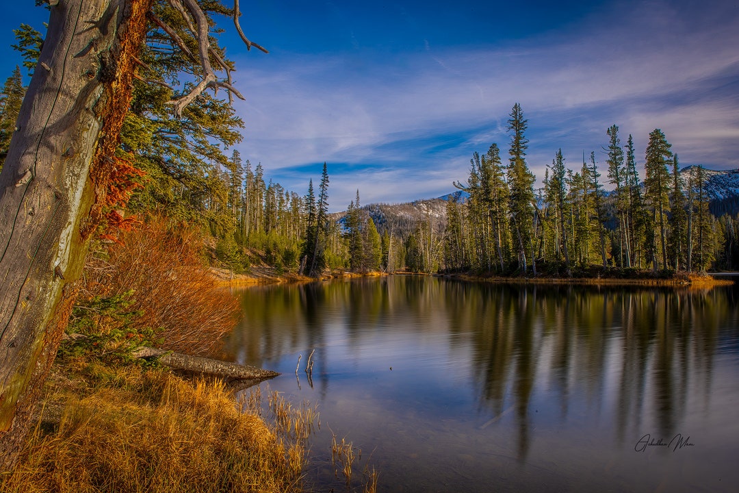 Sylvan Lake in Yellowstone National Park is a Picturesque Location ...