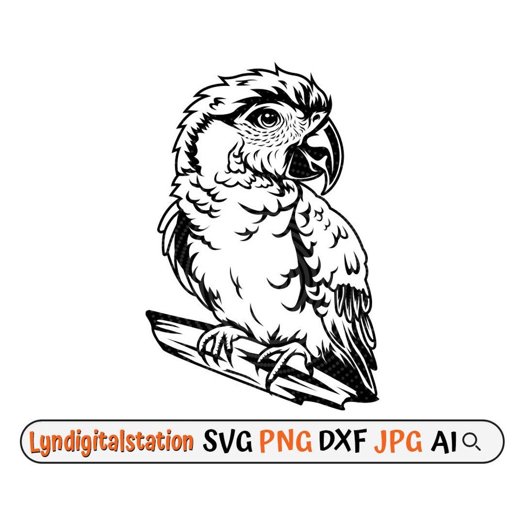 Parrot Svg | Tropical Bird Clipart | Macaw Cut File | Bird Stencil ...