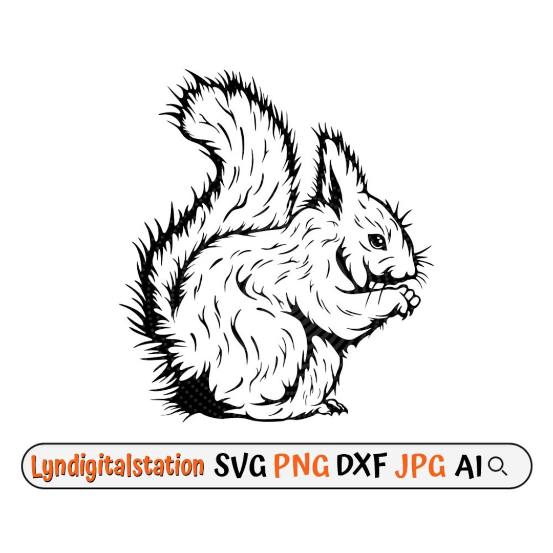 Squirrel Svg | Forest Animal Clipart | Woodland Animal Cut File ...