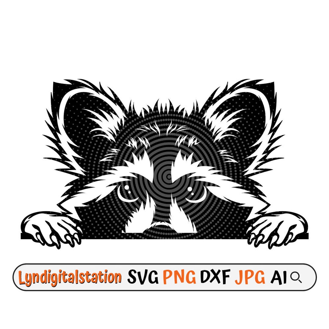 Mapache Svg / Peeking Raccoon Clipart / Curios Rodent Cut File ...