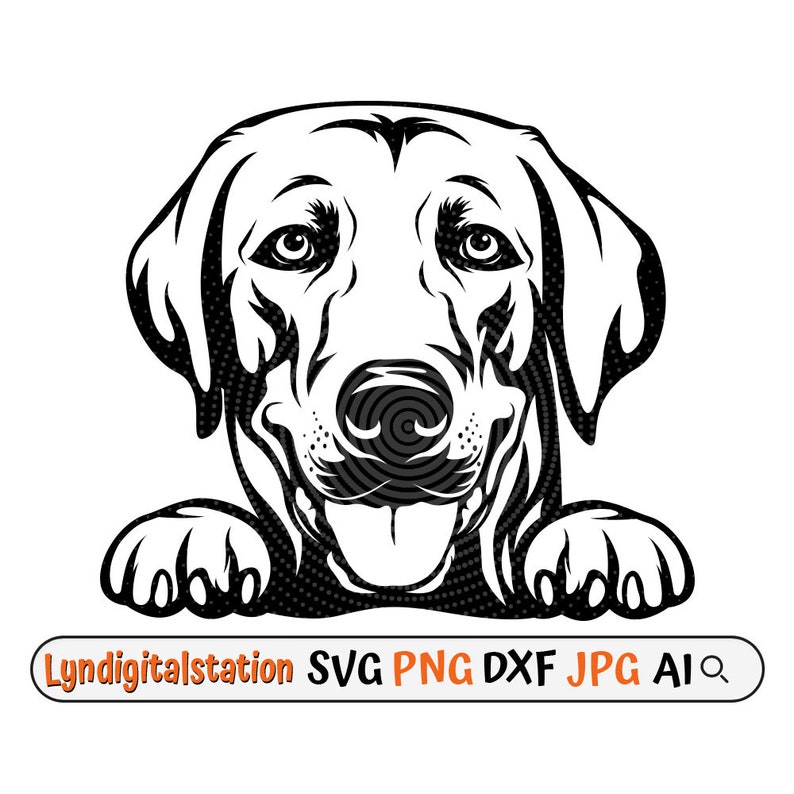 Labrador Peeking Svg Peeking Animal Clipart Dog Breed Cut File Domestic ...