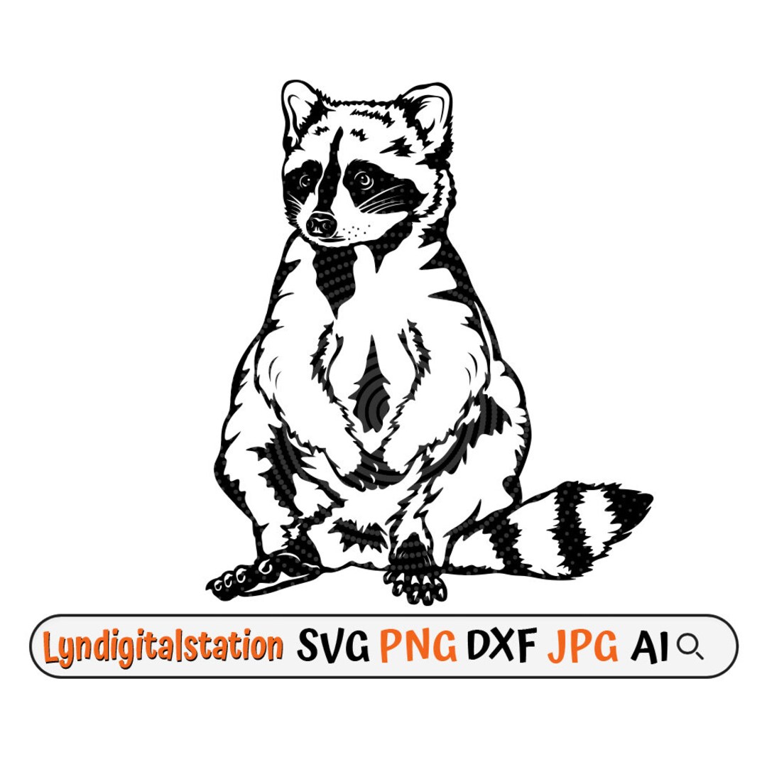 Sitting Raccoon Svg | Wild Animal Clipart | Nocturnal Mammal Cut File ...
