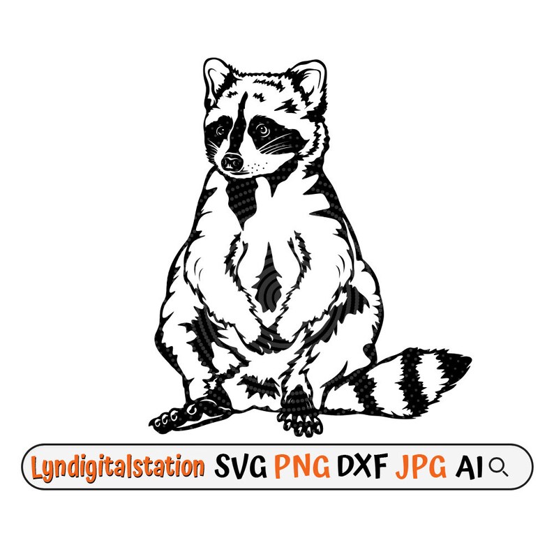Sitting Raccoon Svg Wild Animal Clipart Nocturnal Mammal Cut File Fat ...