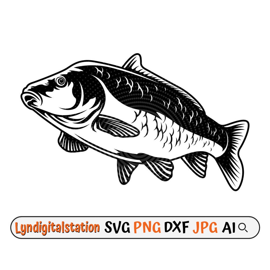 Carp Fish Svg | Angler Dad Gift Idea Clipart | River Fishing Cut File ...