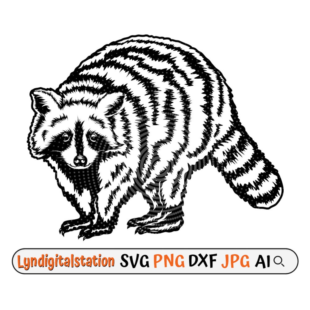 Raccoon Svg | Wild Animal Clipart | Nocturnal Mammal Cut File | Fat ...