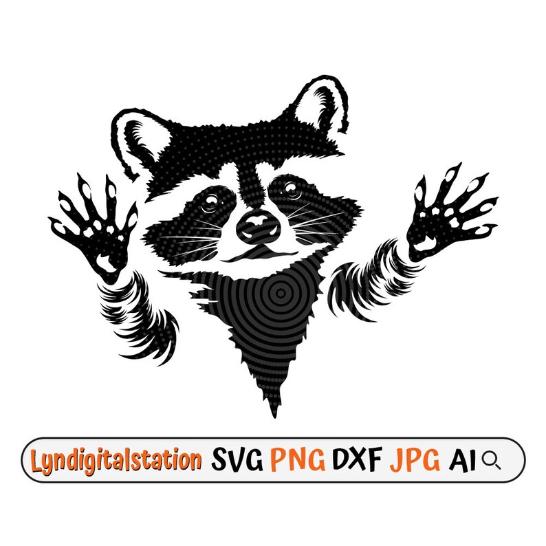 Raccoon Svg | Wild Animal Clipart | Nocturnal Mammal Cut File | Fat ...