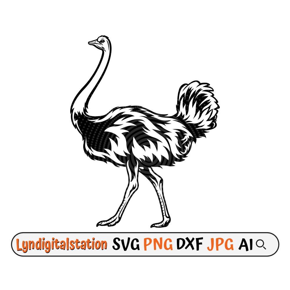 Ostrich Svg | Large Bird Clipart | Farm Animal Cut File | Fastest Birds ...