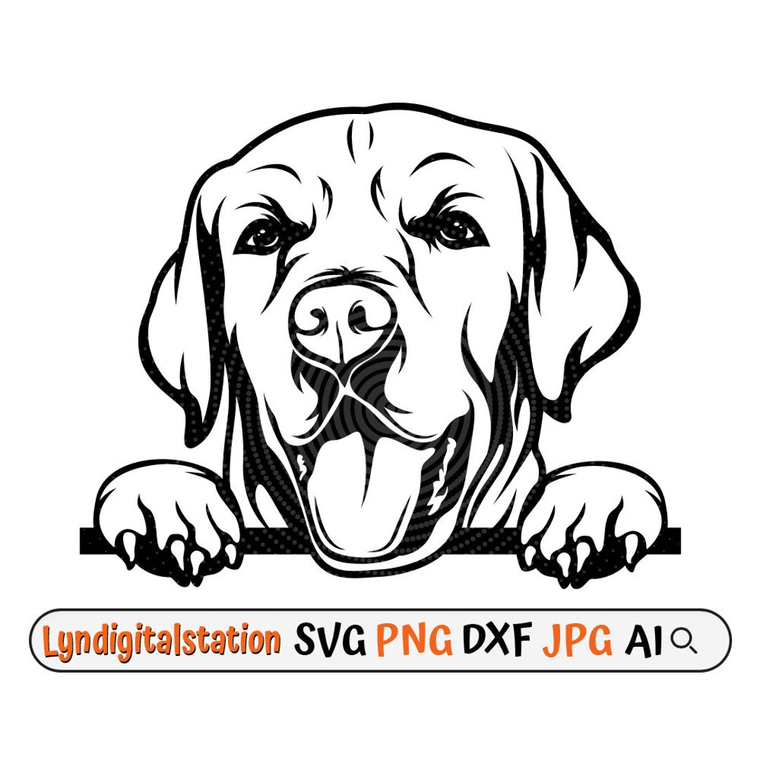 Labrador Peeking Svg | Dog Breed Clipart | Pet Cut File | Domestic ...