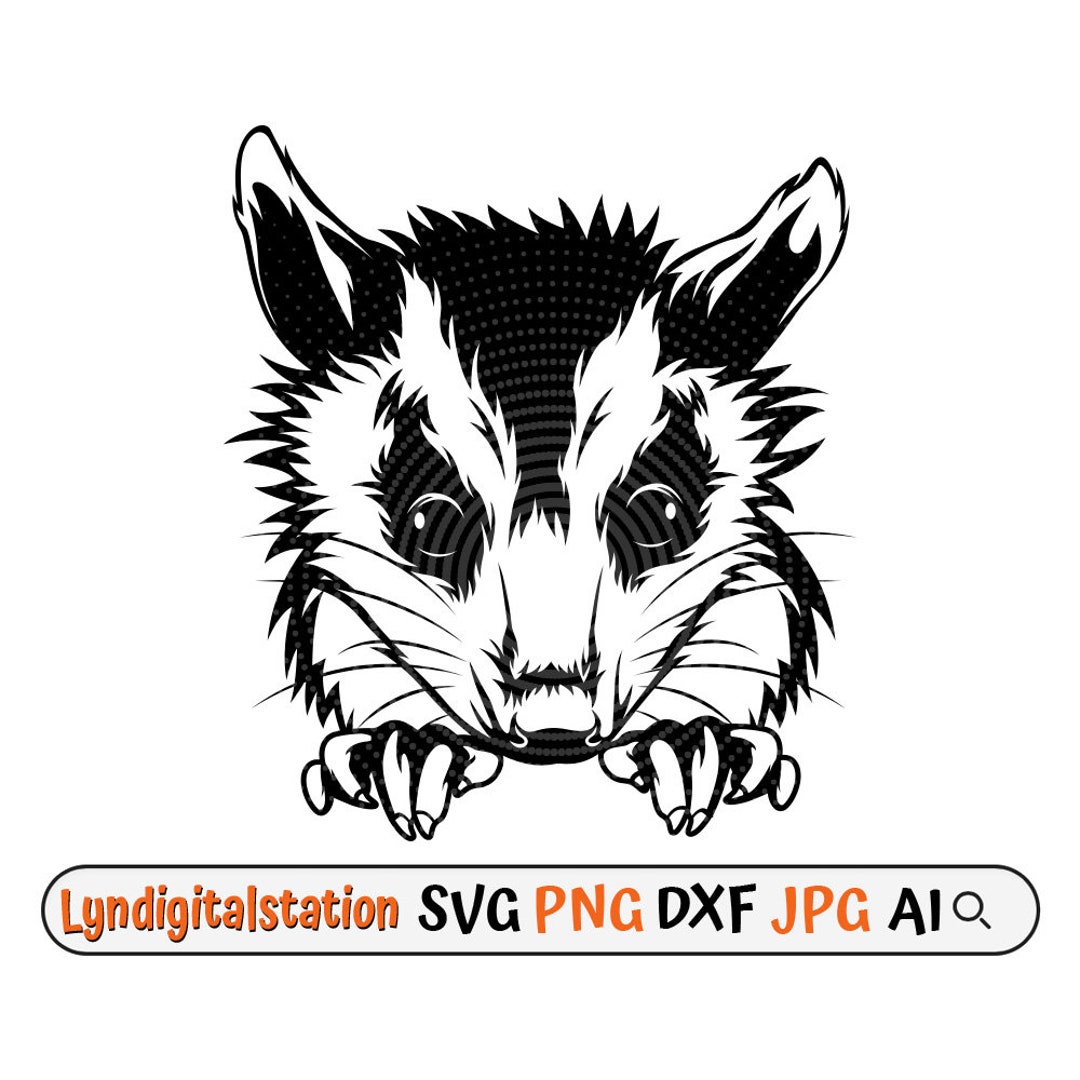 Opossum Peeking Svg | Peeking Animal Clipart | Zoo Animal Cut File ...