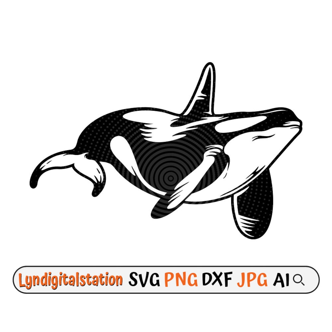Killer Whale Svg | Orca Clipart | Wild Aquatic Mammal Cut File | Marine ...