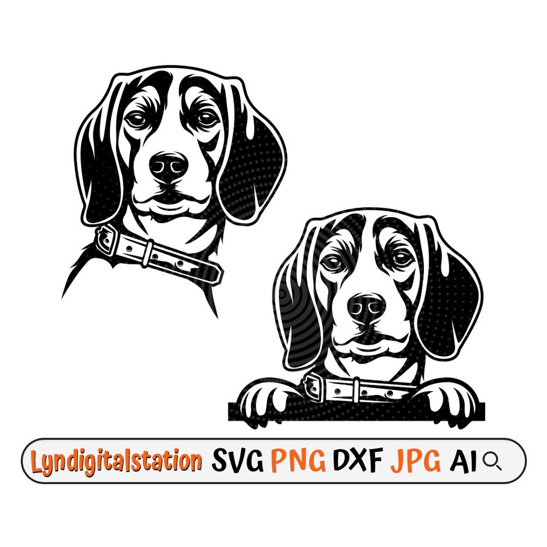 Beagle Svg | Peeking Beagle Clipart | Dog Breed Cut File | Pet Animal ...