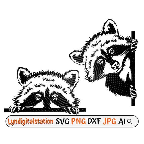 2 Funny Peeking Raccoon Svg Peek a Boo Animals Clipart Wild - Etsy
