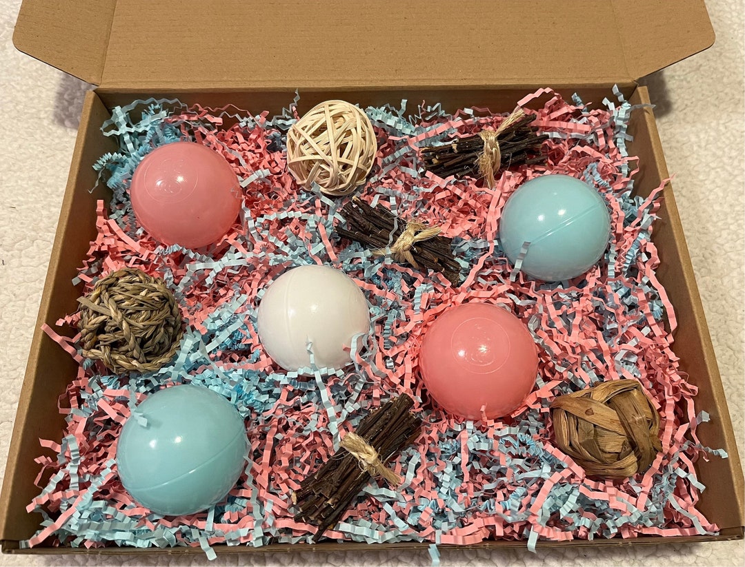 Dig Box/enrichment Box for Bunny Rabbits Cotton Candy Themed Busy Box ...