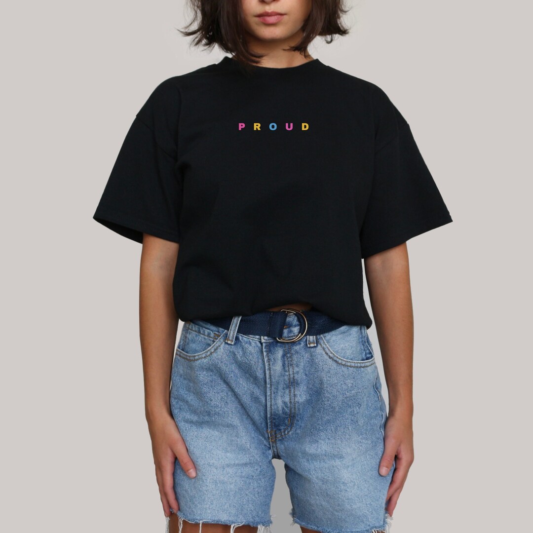 PANSEXUAL PRIDE SHIRT, Subtle Pan Pride Shirt, Pansexual Flag Tshirt ...