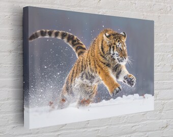 Snow Tiger Wall Art - Etsy