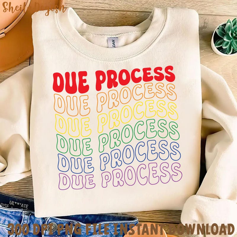 Due Process Protest Signs - Etsy