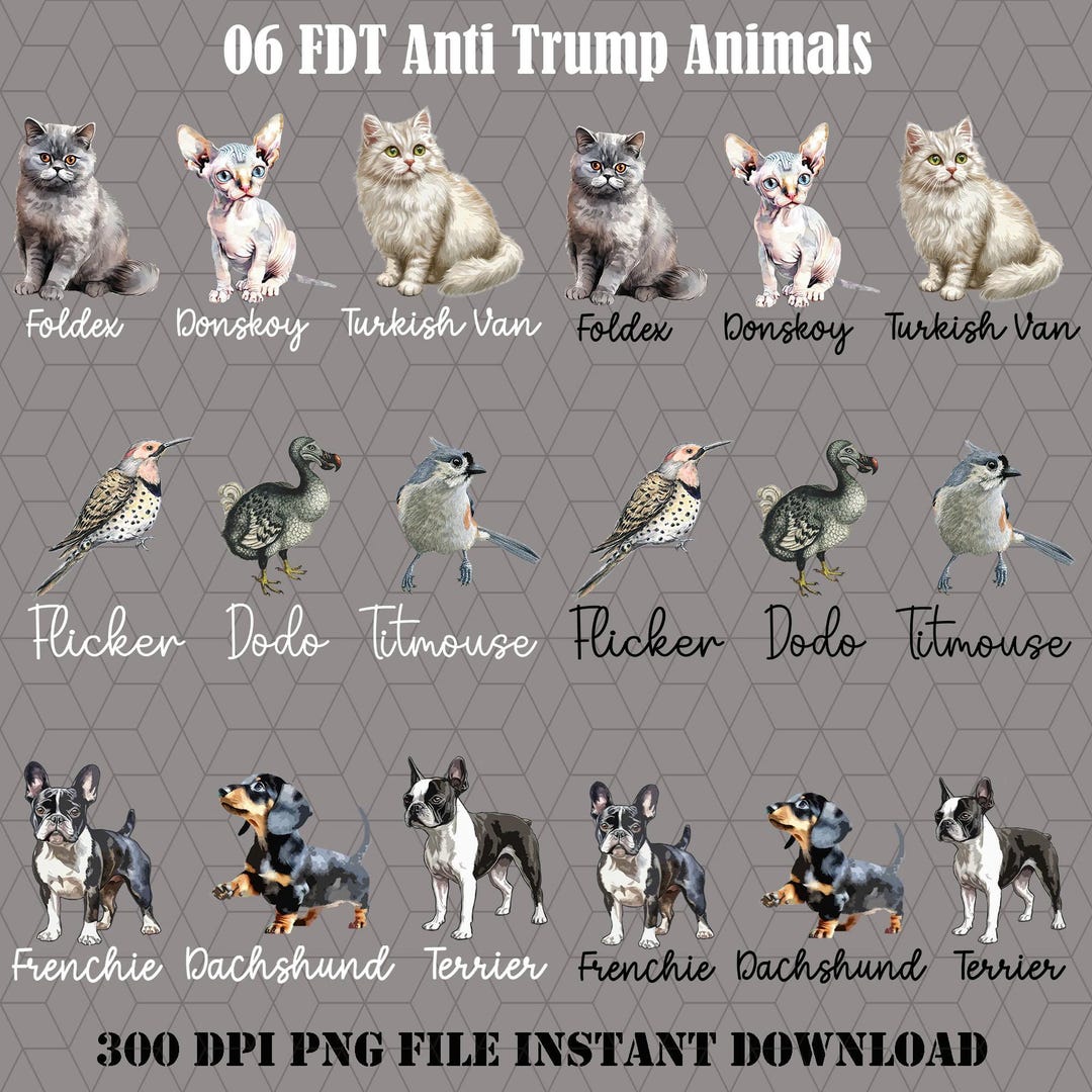 Bundle Subtle FDT Png, Bird FDT Gift, Dog Anti Trump Png, Anti MAGA Png ...