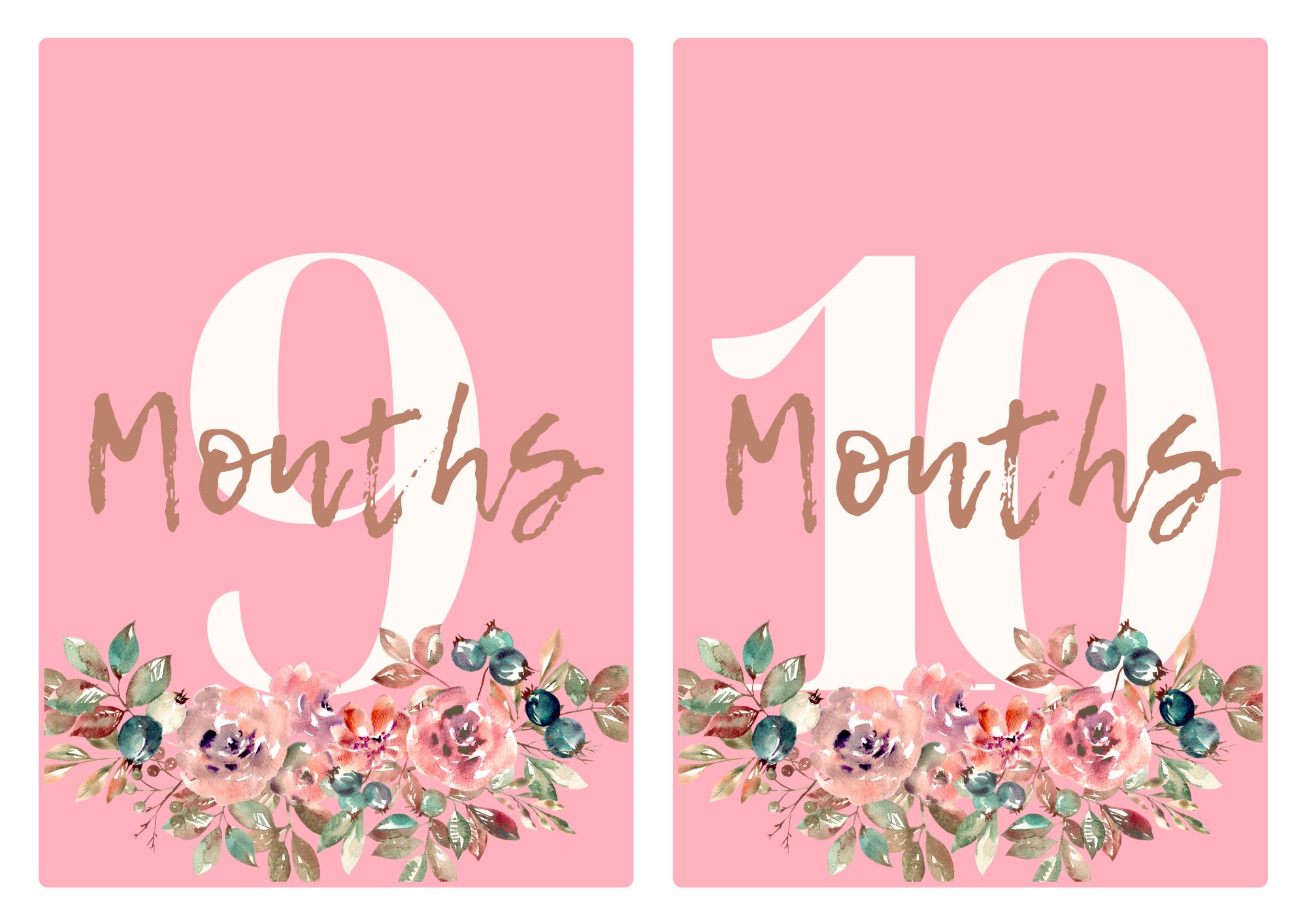 DIGITAL DOWNLOAD Monthly Milestone Cards Pink Flowers Printable Monthly ...