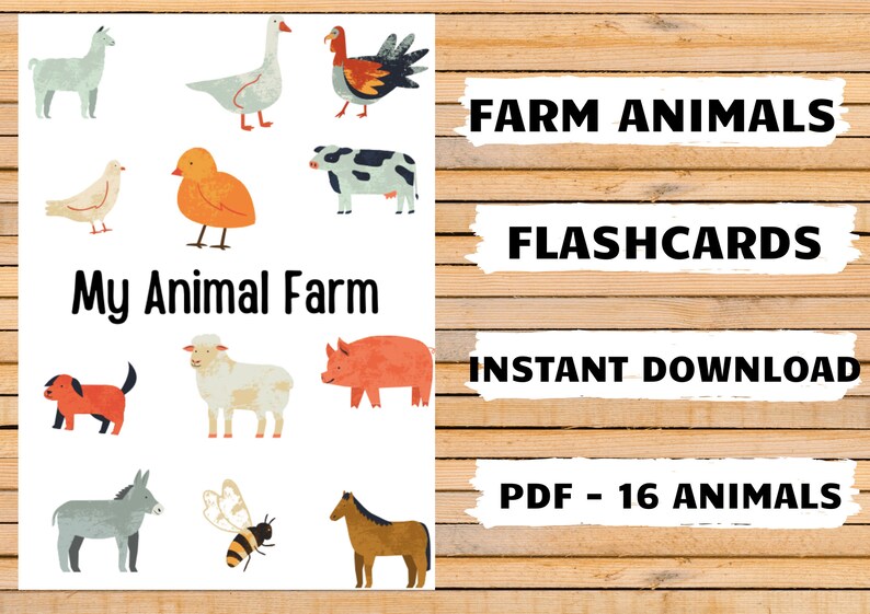 Montessori and Waldorf Learning Farm Animal, Kindergarten Preschool ...