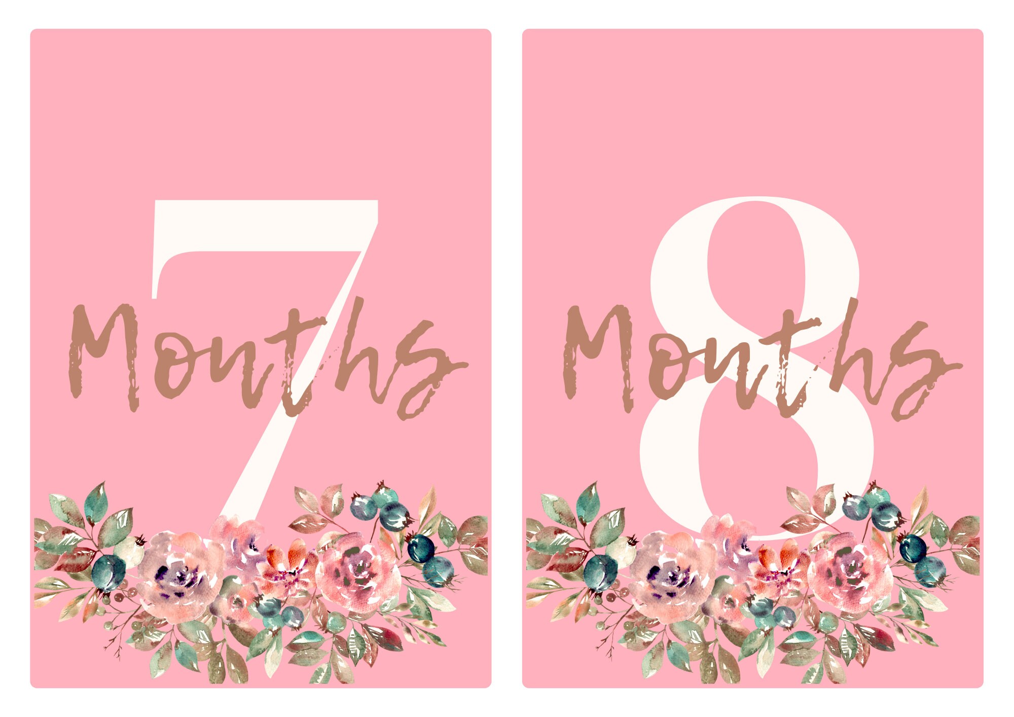 DIGITAL DOWNLOAD Monthly Milestone Cards Pink Flowers Printable Monthly ...