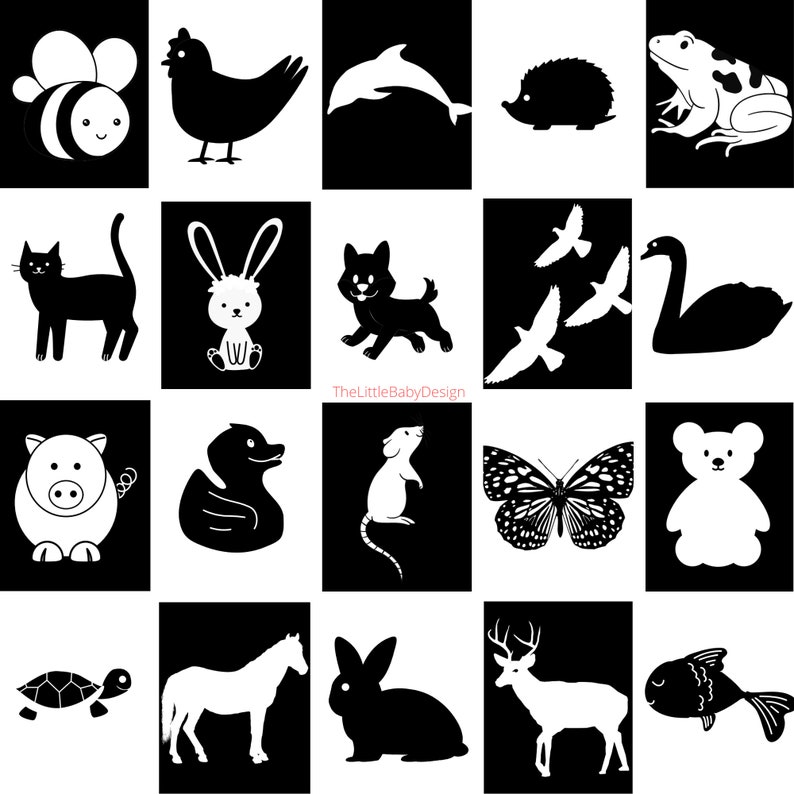 20 High Contrast Animal Baby Cards: Montessori Sensory Stimulation ...