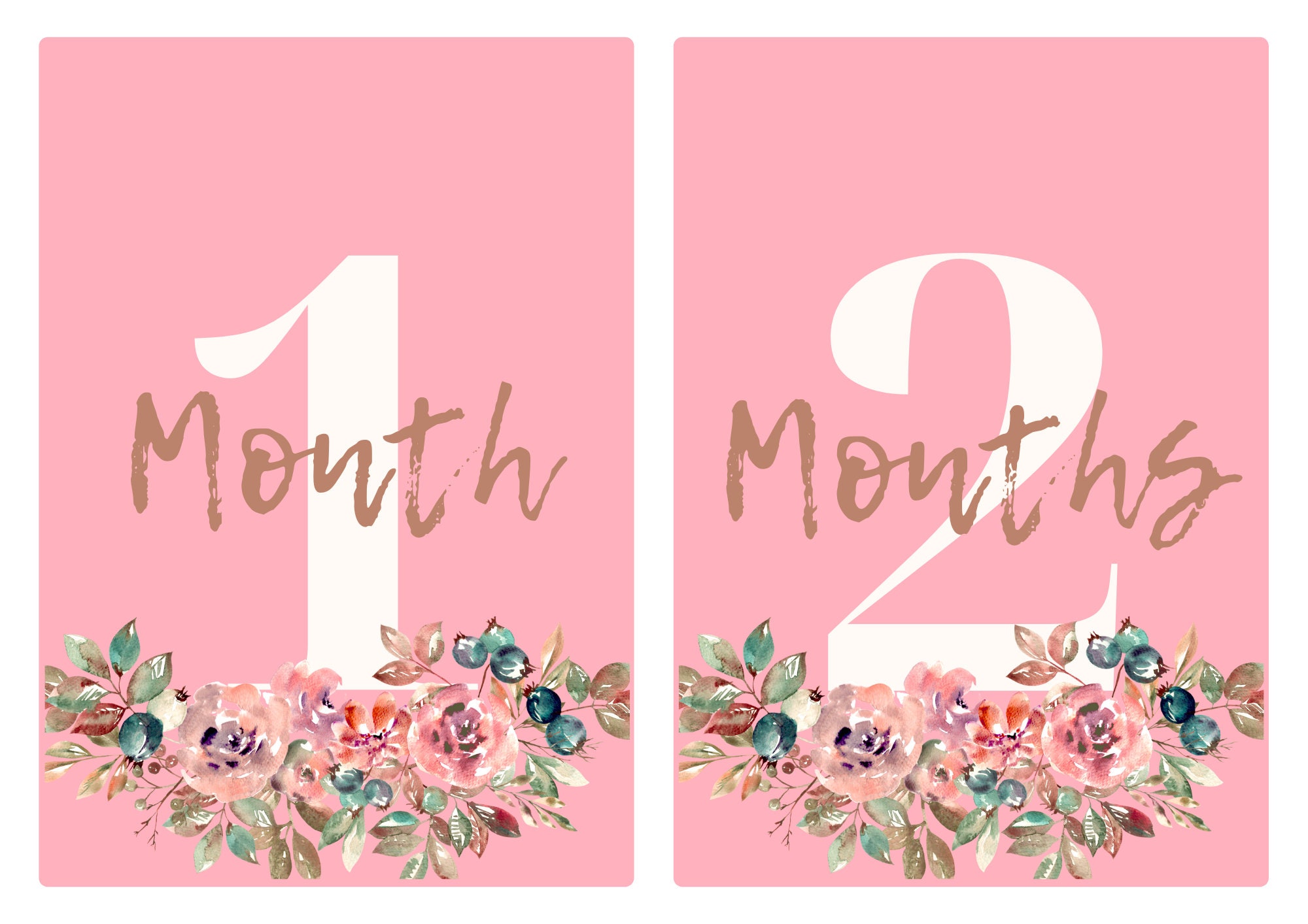 DIGITAL DOWNLOAD Monthly Milestone Cards Pink Flowers Printable Monthly ...