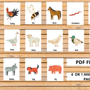 Montessori and Waldorf Learning Farm Animal, Kindergarten Preschool ...