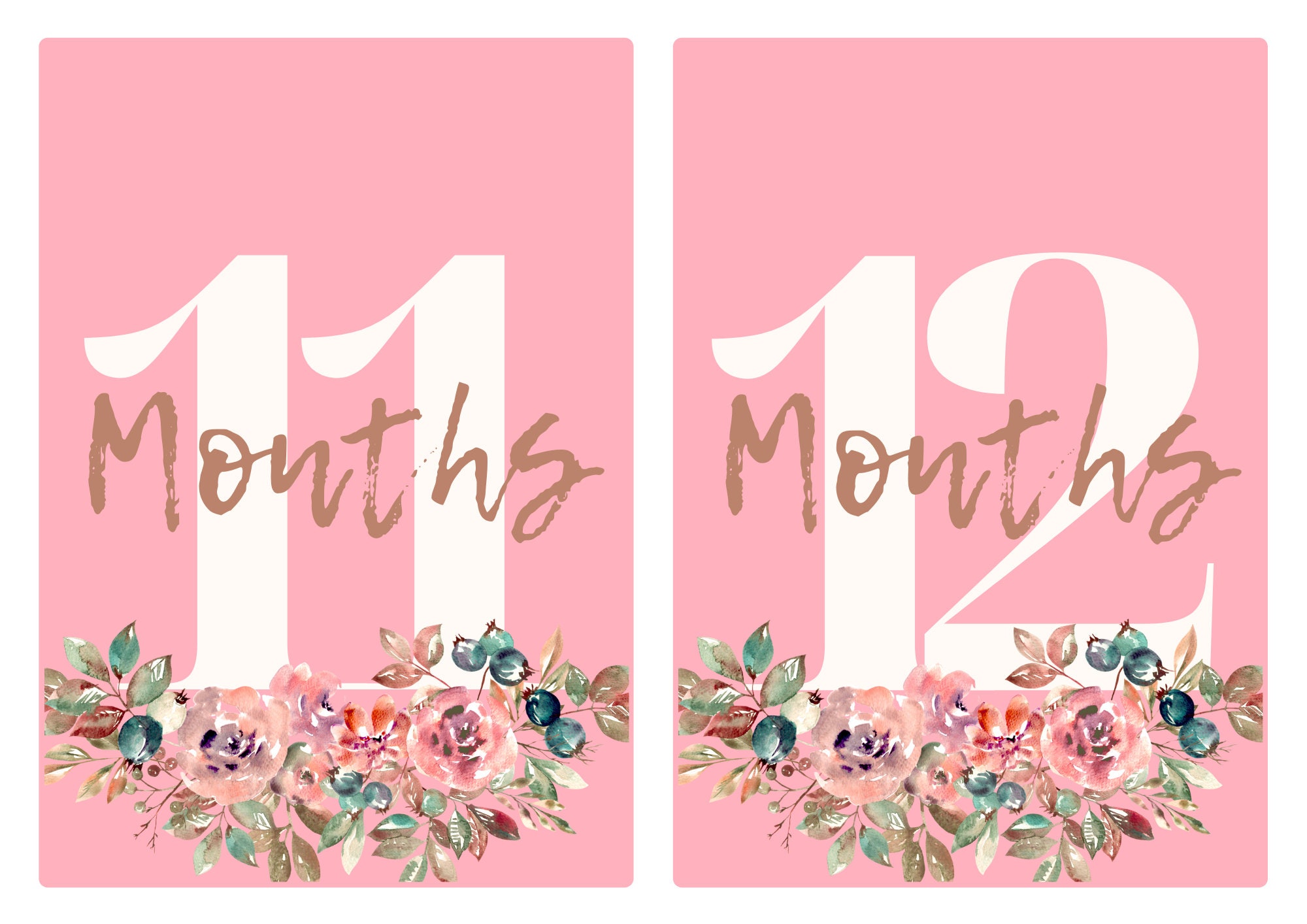 DIGITAL DOWNLOAD Monthly Milestone Cards Pink Flowers Printable Monthly ...