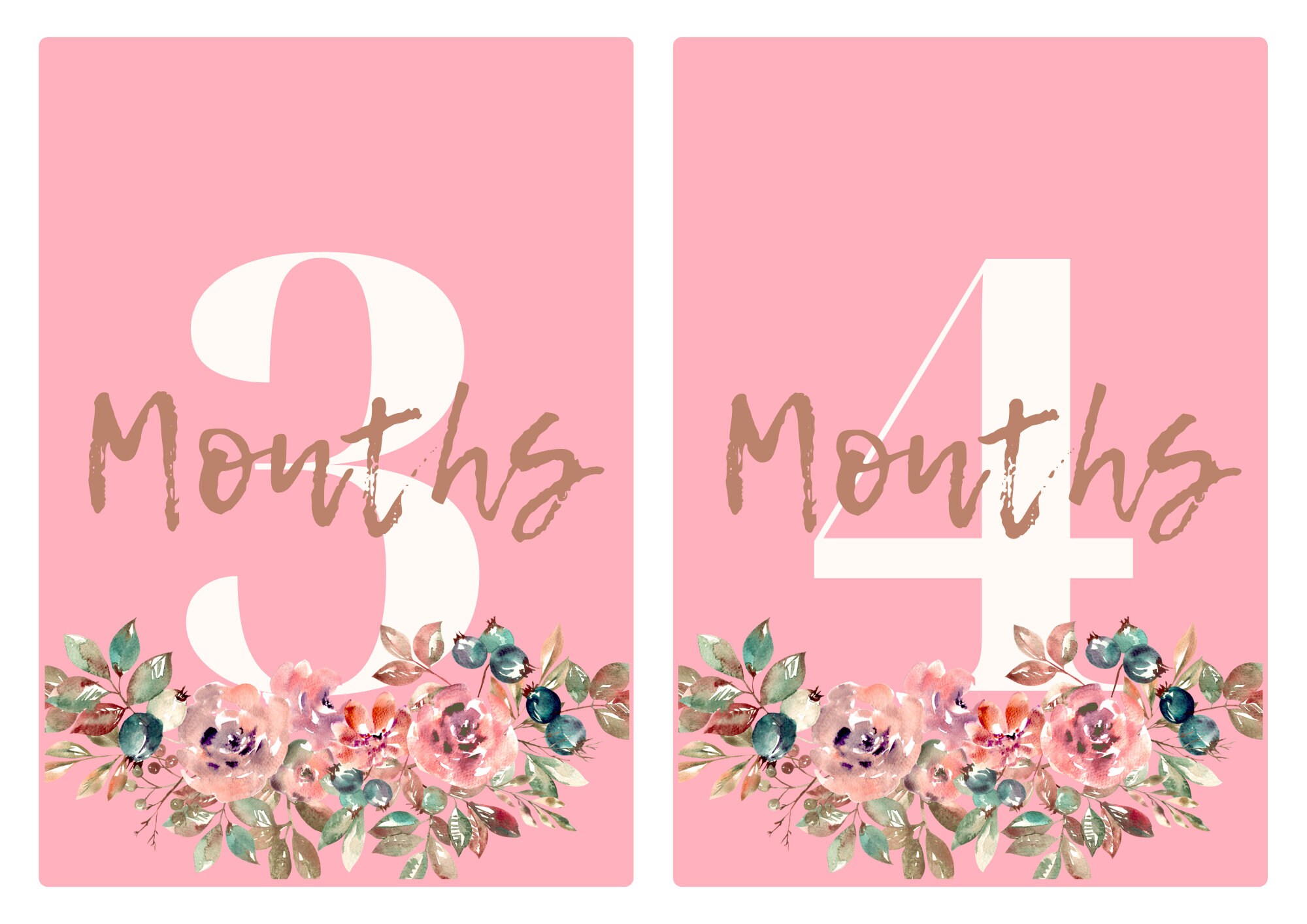 DIGITAL DOWNLOAD Monthly Milestone Cards Pink Flowers Printable Monthly ...