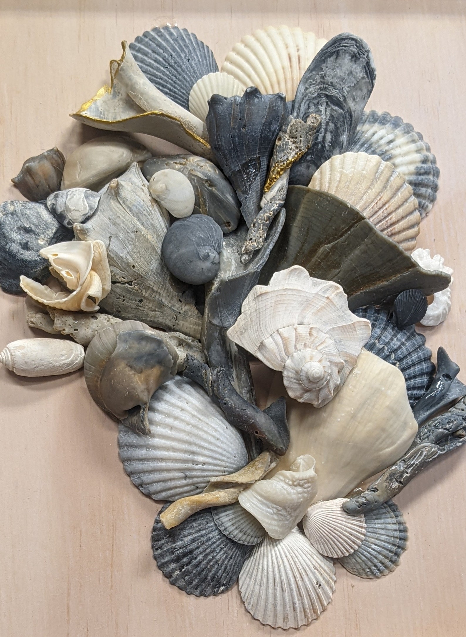 Shell Collage - Etsy