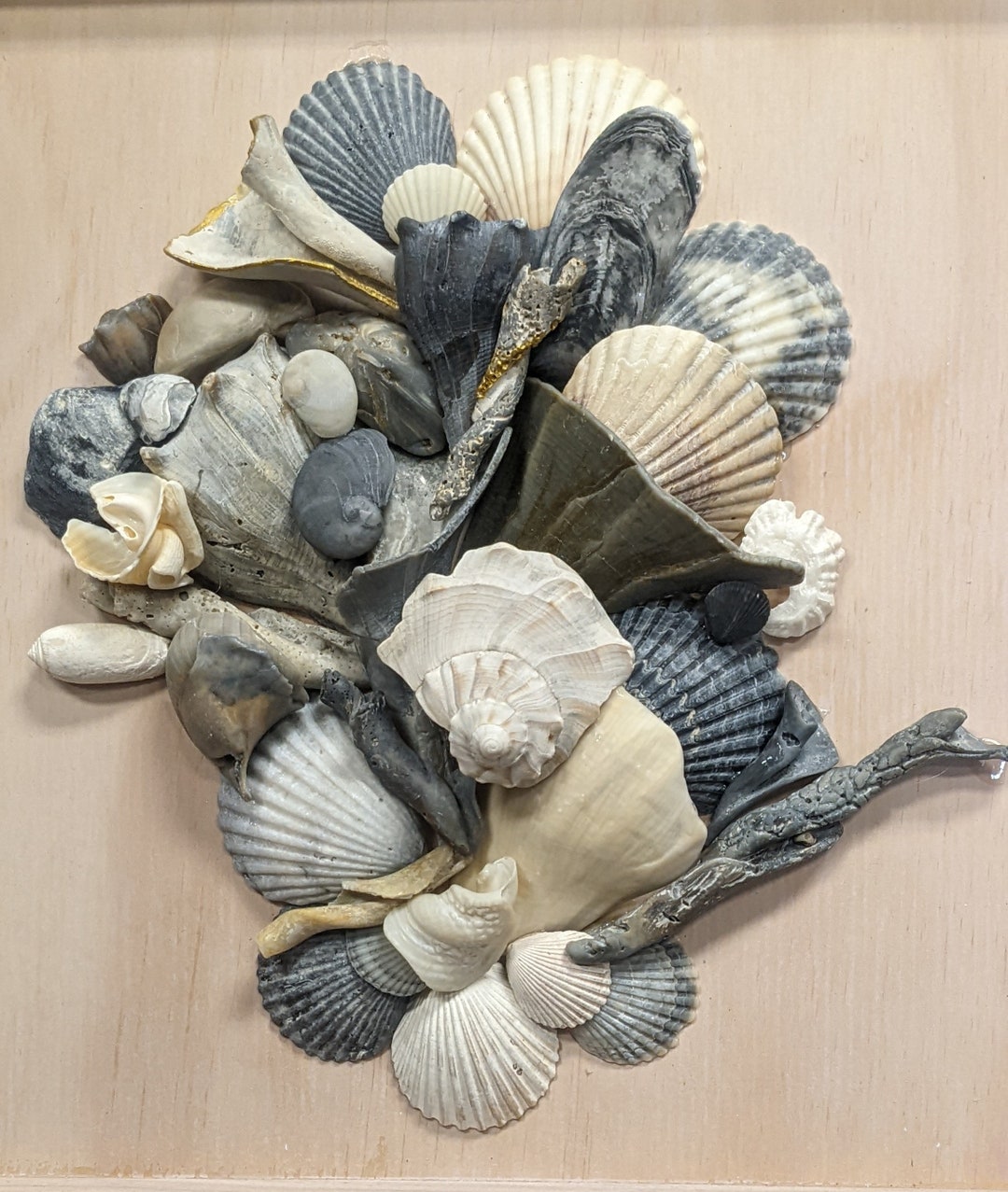 Shell Collage - Etsy
