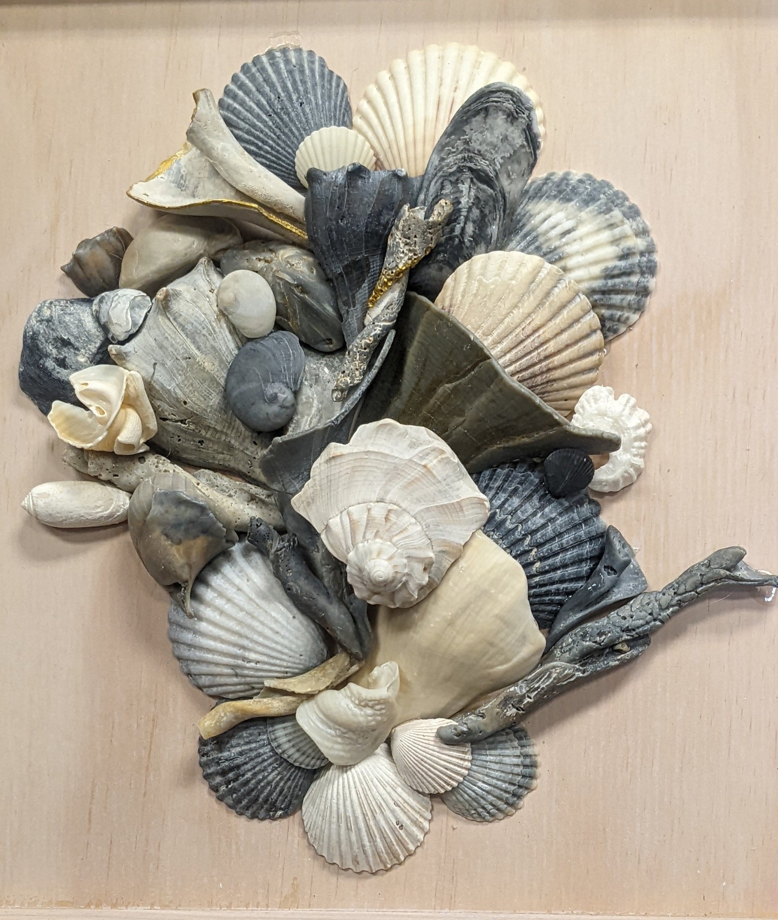Shell Collage - Etsy