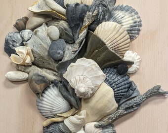 Assorted Shell Collage Mandala - Etsy