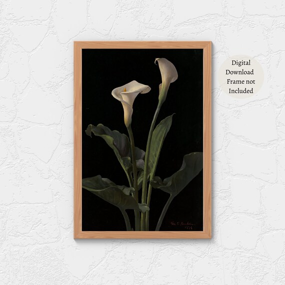 Calla Lily Flower Art Print Flower Wall Art Flower Print | Etsy