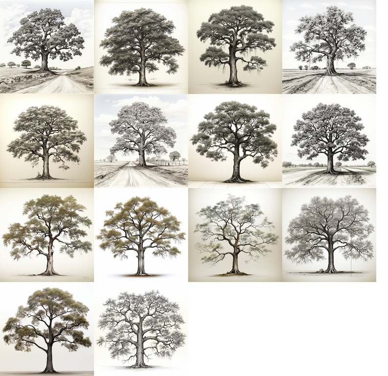 14 Oak Tree SVG & PNG Files for Engraving, CNC Carving, and Crafts ...