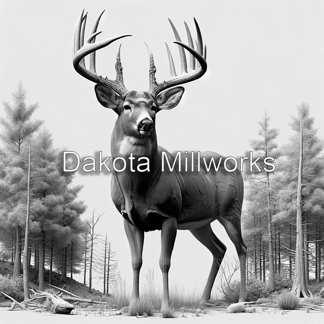 Whitetail Deer 3D STL Models Both a Standing Deer and Euro Mount Deer ...